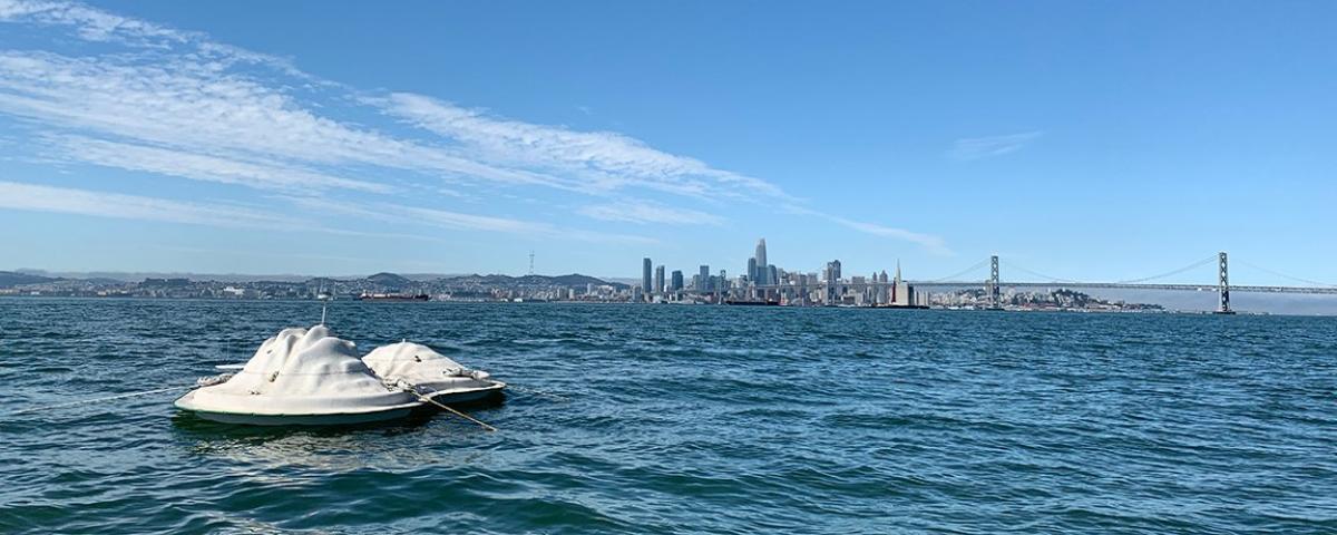 Venice Beach Float Lab