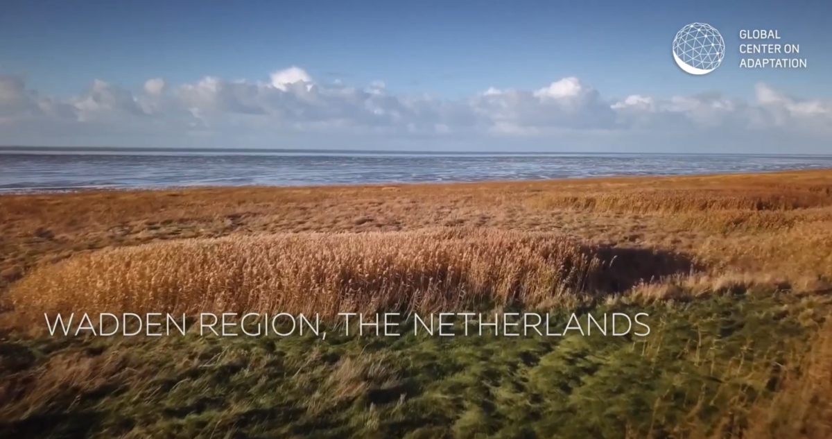 The Wadden Sea region, the Netherlands: From technical solutions to ...