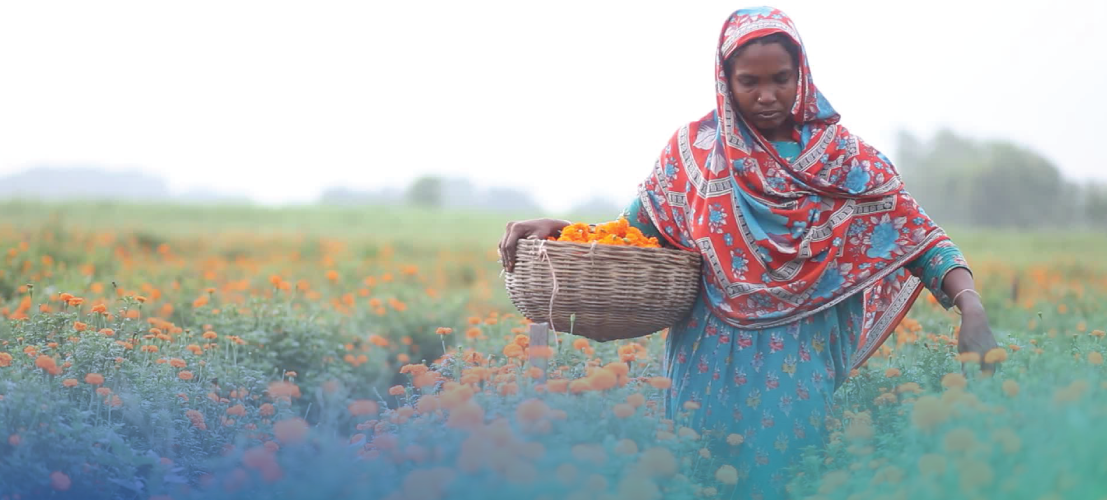 20 organizations pioneering locally-led climate resilience announced as finalists for the Local ...