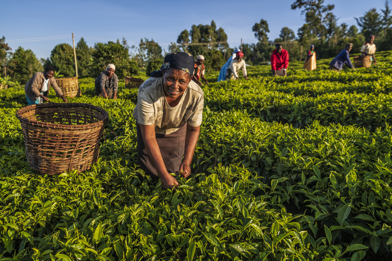 Climate action and research must come together for better adaptation ...