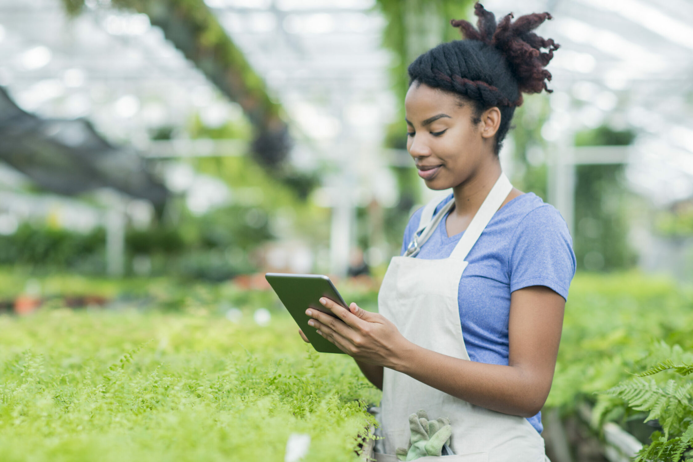 African Youth Adaptation competition launches call for applications ...