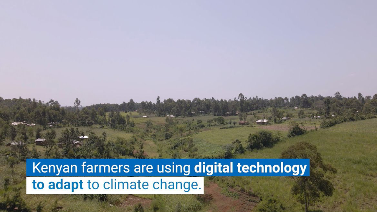 Climate Adaptation Solutions: MoA-INFO SMS Service for Smallholder ... Climate Adaptation Solutions: MoA-INFO SMS Service for Smallholder ...