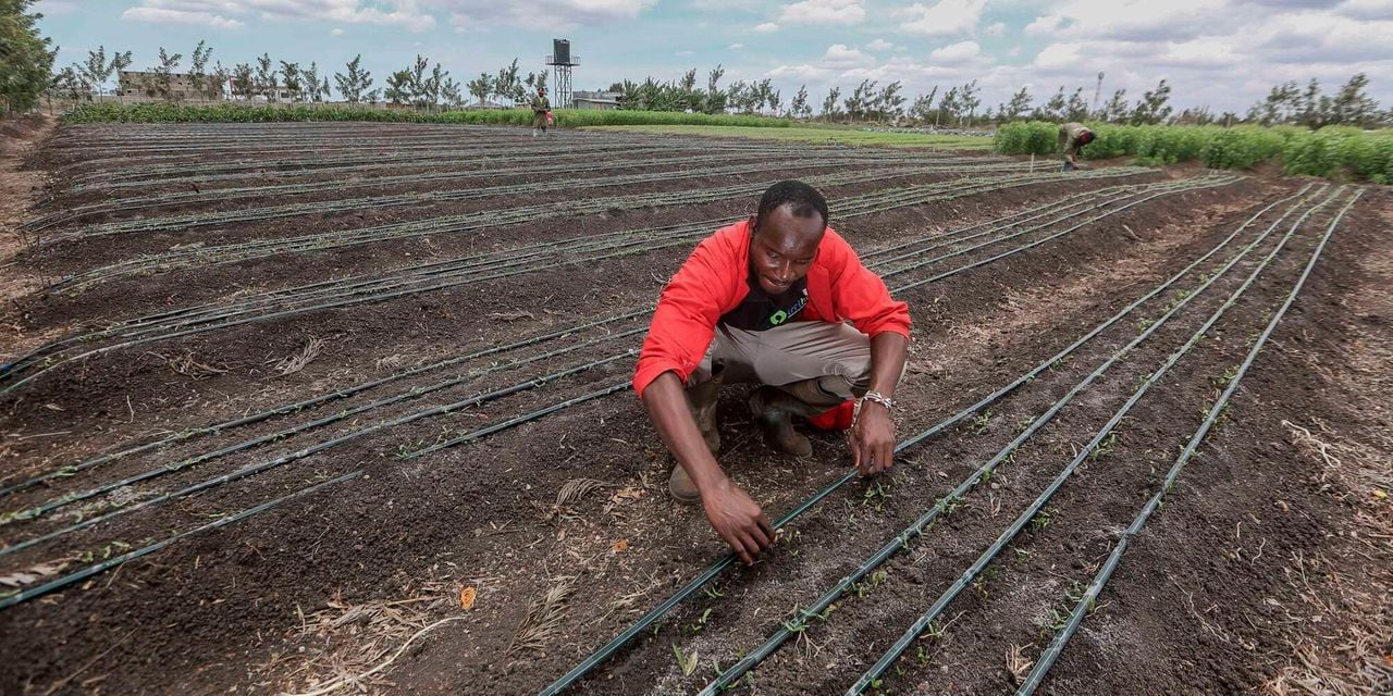 Kenyan start-up recognised for climate adaptation - Global Center on ...