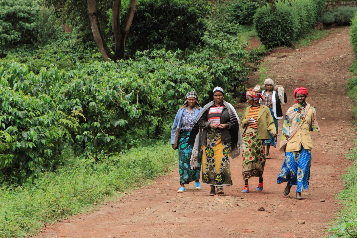 Four Ways Climate Change Undermines Social Justice and What We Can Do ...