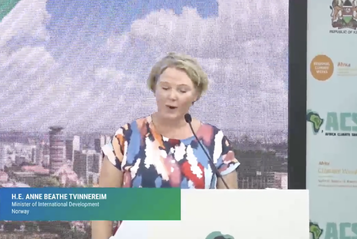 Africa’s Adaptation Transformation -Anne Beathe Tvinnereim - Global ...