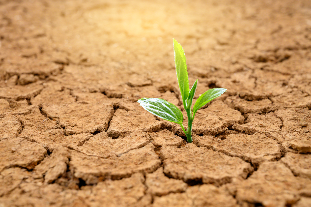 Strategy and Planning to Redouble Climate Adaptation in Africa - Global ...