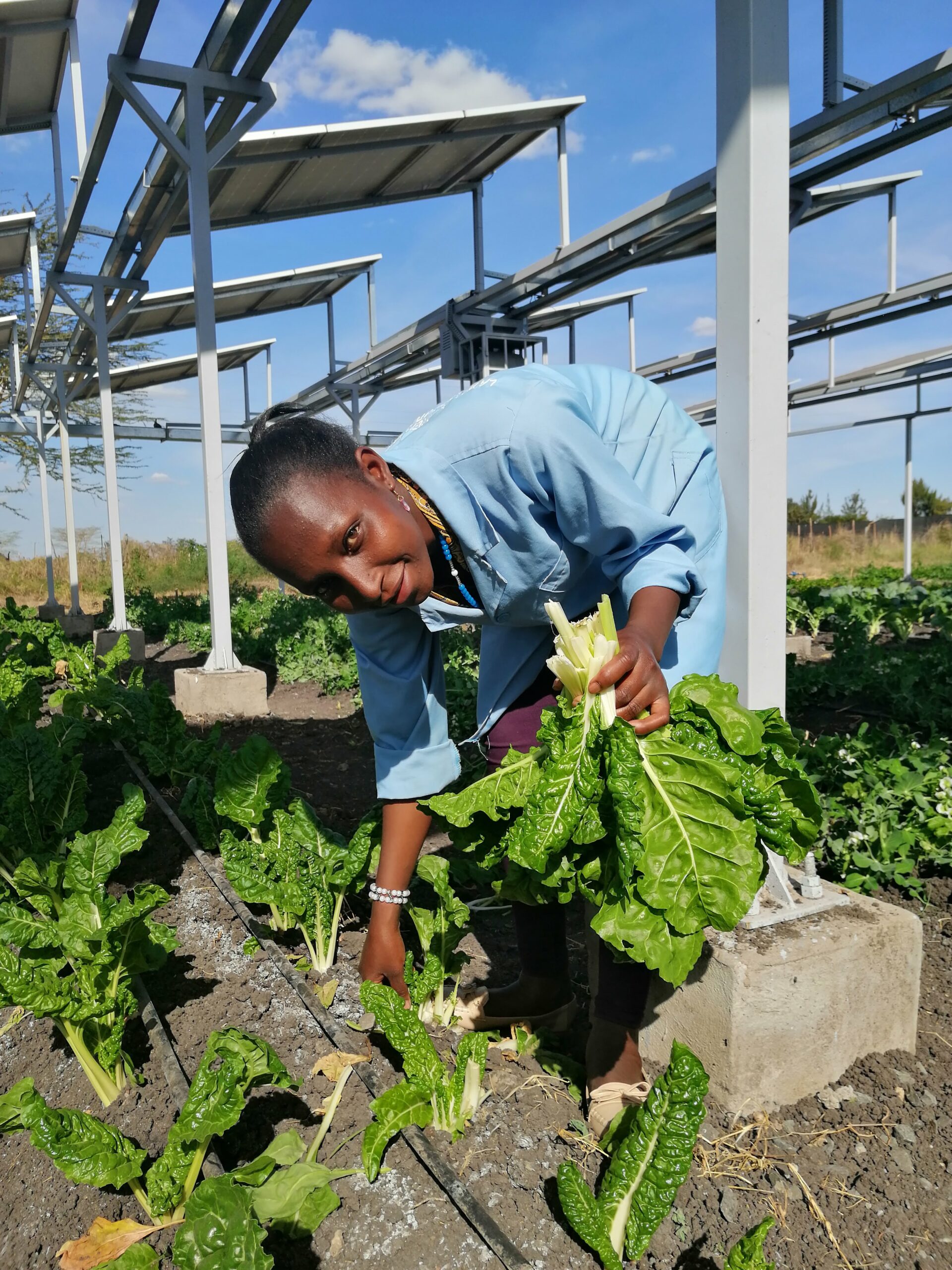 Three ways that clean energy innovation and climate change adaptation ...