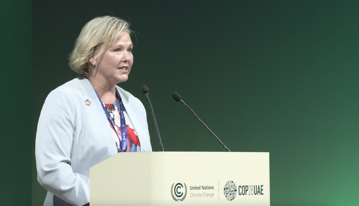 Adaptation Finance Summit for Africa - Anne Beathe Tvinnereim - Global ...