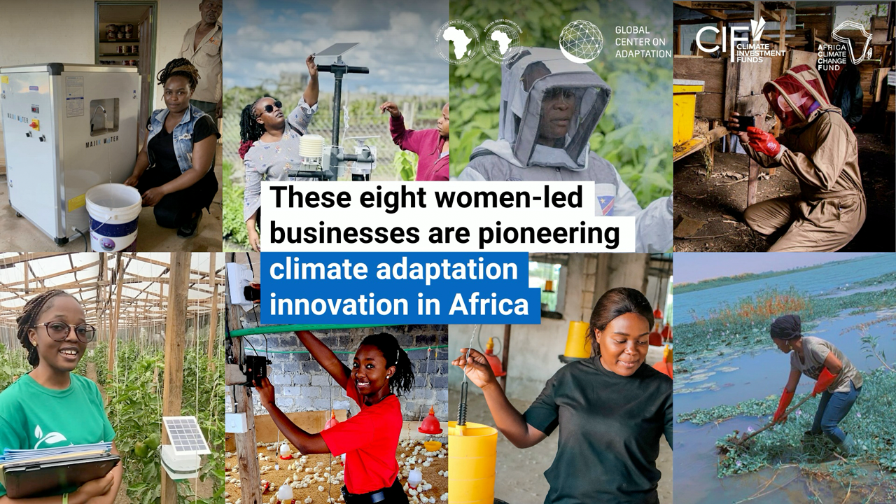 Investing in Women: Eight Women-led Businesses Pioneering Climate Adaptation Innovation in ...