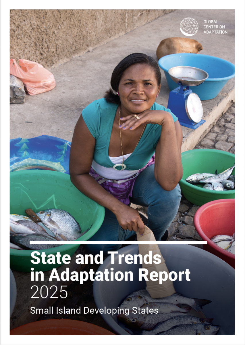 State and Trends in Adaptation Report 2025: Small Island Developing ...