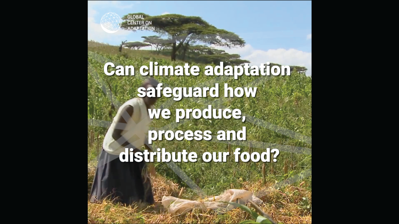 Can climate adaptation safeguard how we produce and distribute our food ...