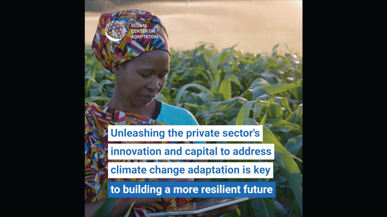 How can the private sector invest in and innovate for climate ...