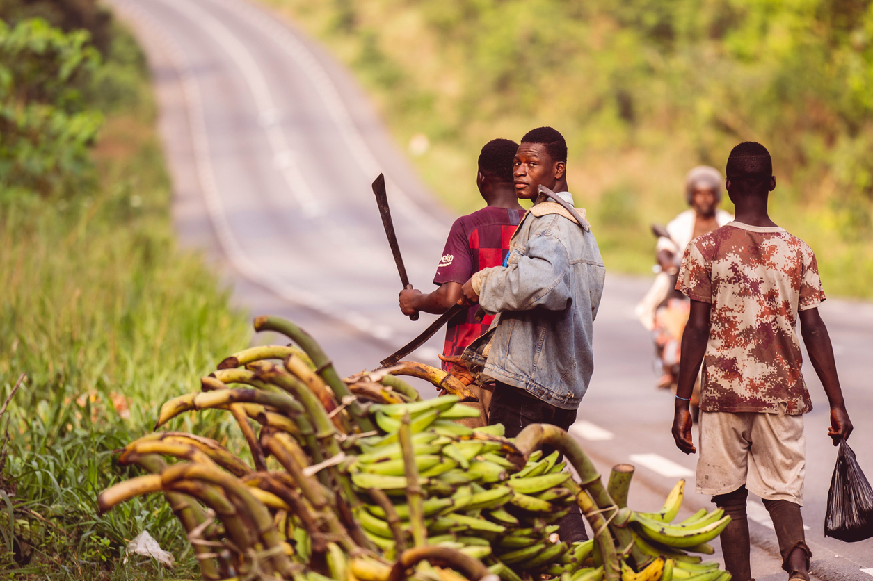 GCA Partners with IFAD to Strengthen Climate-Resilient Agriculture in ...