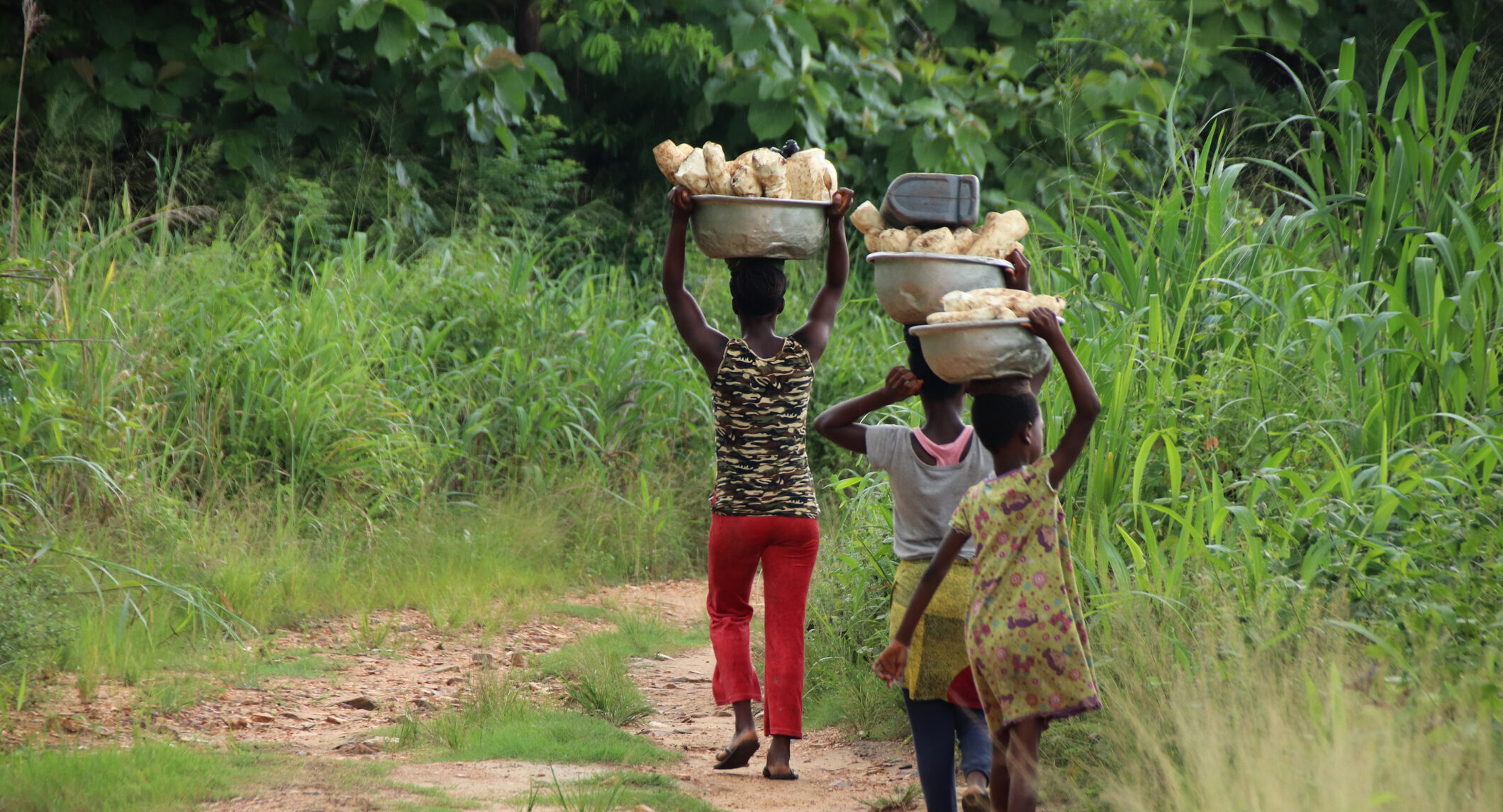 GCA Partners with World Bank on Climate-Smart Agricultural Program in Togo - Global Center on ...